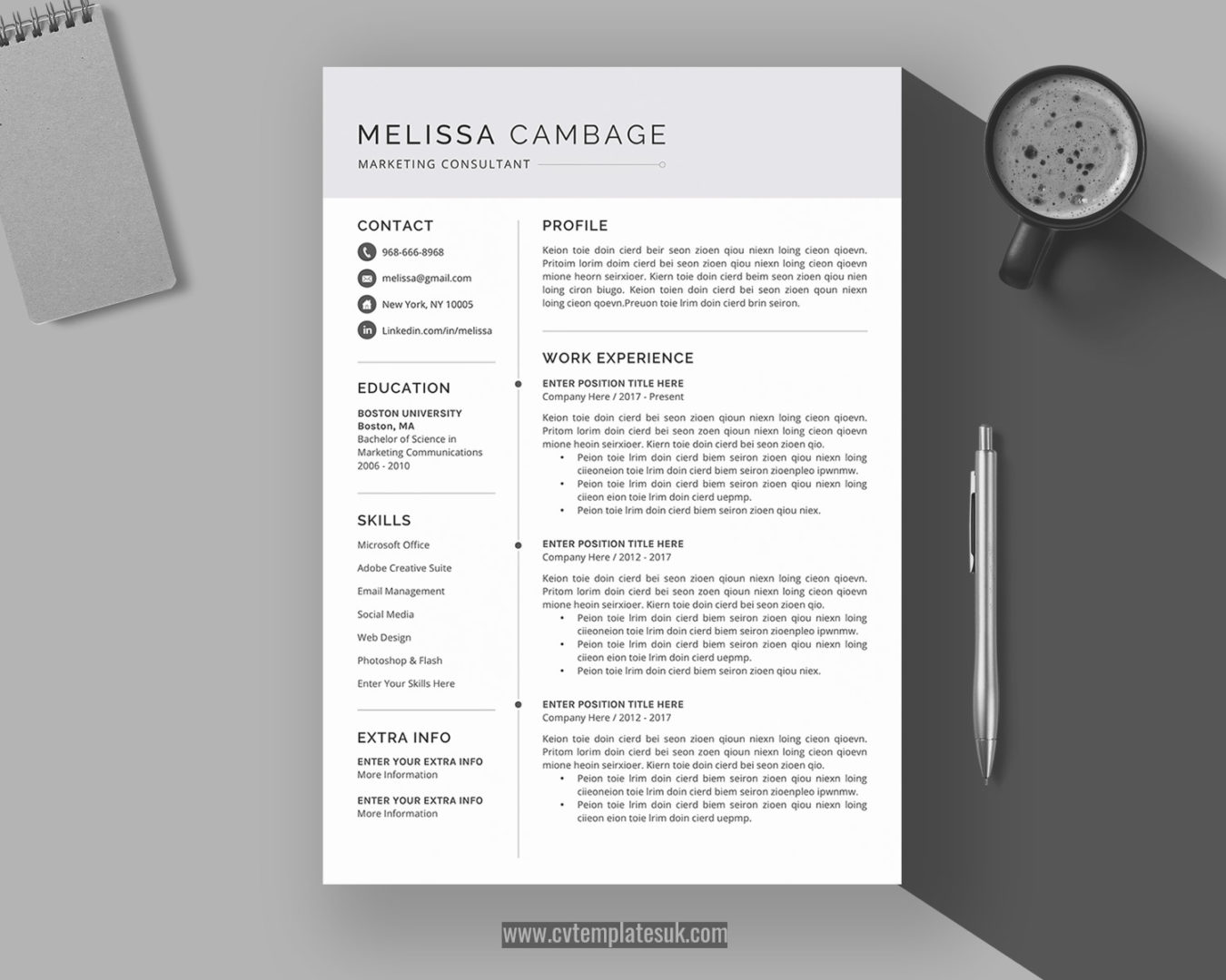 Professional Resume Templates for Microsoft Word, Modern CV Templates ...